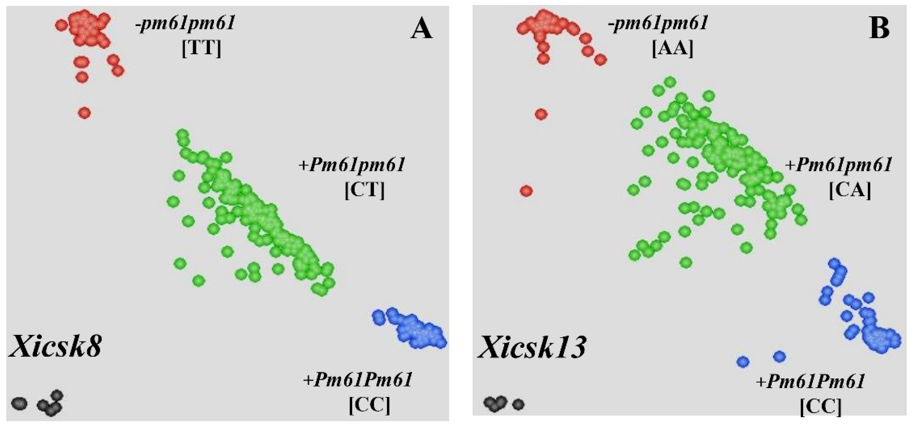 Development of SNP, KASP, and SSR Markers by BSR-Seq Technology for ...