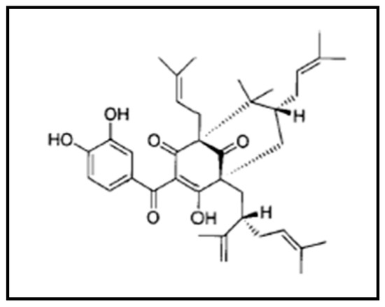 Garcinol Sensitizes NSCLC Cells to Standard Therapies by Regulating EMT ...