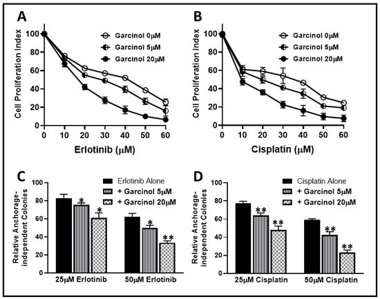 Garcinol Sensitizes NSCLC Cells to Standard Therapies by Regulating EMT ...
