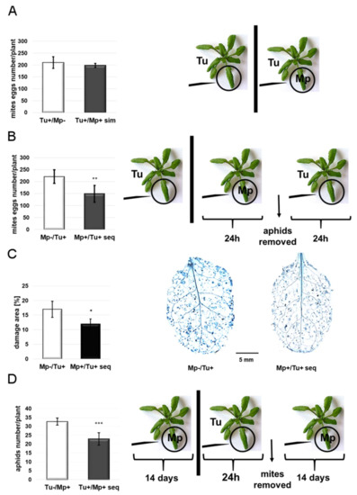 Unravelling the Complexity of Plant Defense Induced by a Simultaneous ...