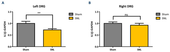 IJMS | Free Full-Text | Biomarker Analysis of Orally Dosed, Dual Active ...