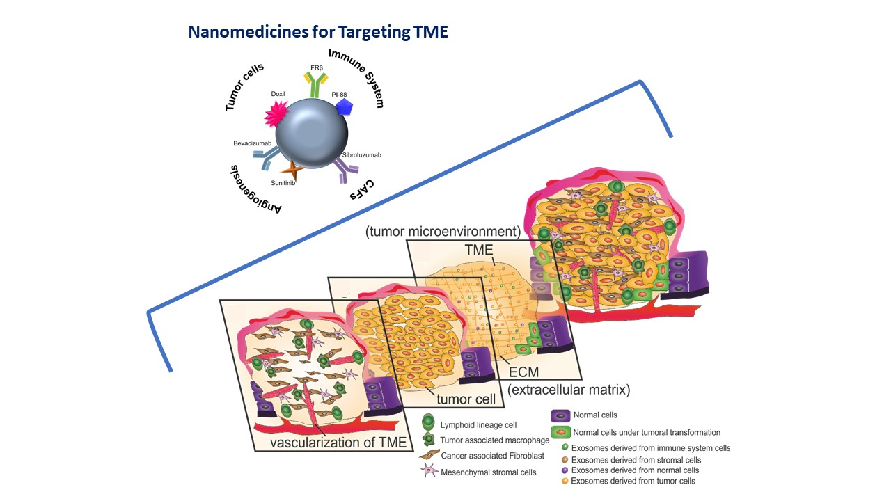 IJMS | Free Full-Text | Targeting Tumor Microenvironment for Cancer Therapy