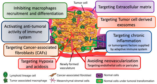 Targeting Tumor Microenvironment for Cancer Therapy