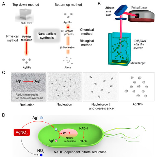 IJMS | Free Full-Text | Silver Nanoparticles: Synthesis and Application for Nanomedicine