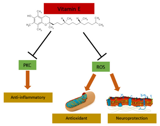 The Effectiveness of Vitamin E Treatment in Alzheimer’s Disease