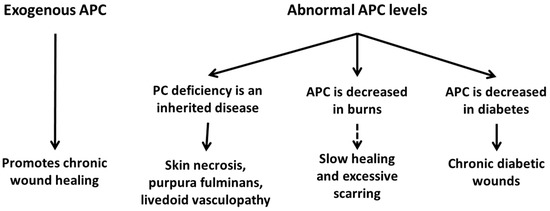 Activated Protein C in Cutaneous Wound Healing: From Bench to Bedside