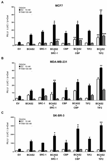 International Journal of Molecular Sciences | An Open Access Journal ...