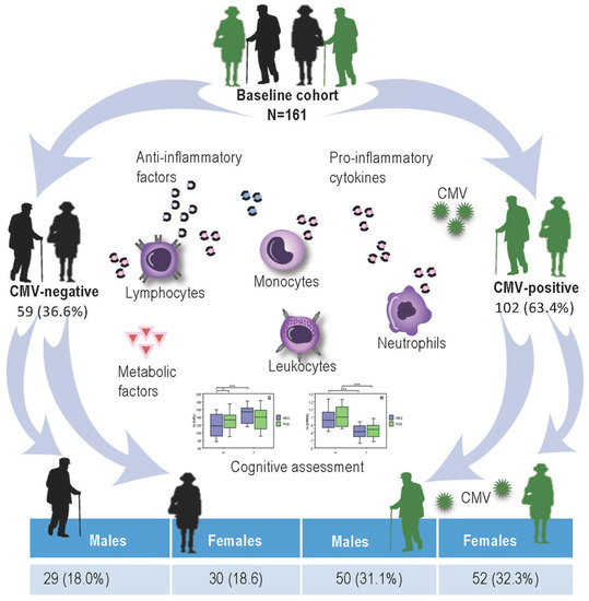 IJMS | Special Issue : Immunosenescence and Related Processes IJMS | Special Issue : Immunosenescence and Related Processes