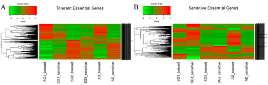 Transcriptomic Analysis for Indica and Japonica Rice Varieties under ...