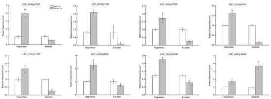 Transcriptomic Analysis for Indica and Japonica Rice Varieties under ...