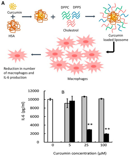 A Review of Curcumin and Its Derivatives as Anticancer Agents