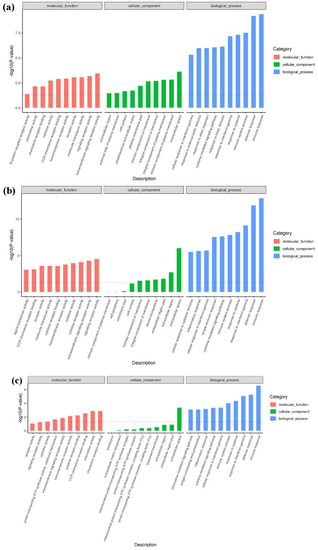 IJMS | Free Full-Text | Integrated Analysis of miRNA and mRNA ...
