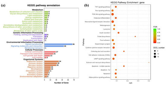 IJMS | Free Full-Text | Integrated Analysis of miRNA and mRNA ...