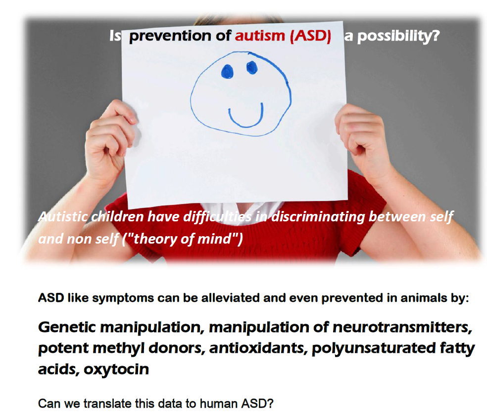 IJMS | Free Full-Text | Prevention or Amelioration of Autism-Like ...