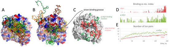 Protein Interaction with Charged Macromolecules: From Model Polymers to Unfolded Proteins and ...