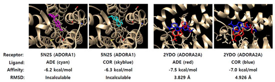 Adenosine Induces EBV Lytic Reactivation through ADORA1 in EBV ...