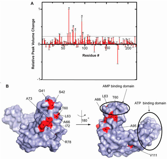 IJMS | Special Issue : In-Cell NMR Spectroscopy: Biomolecular Structure ...