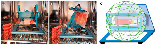 Changes in Human Foetal Osteoblasts Exposed to the Random Positioning ...