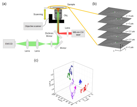 Two-Dimensional and Three-Dimensional Single Particle Tracking of Upconverting Nanoparticles in ...
