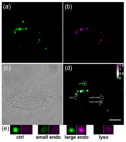Two-Dimensional and Three-Dimensional Single Particle Tracking of ...