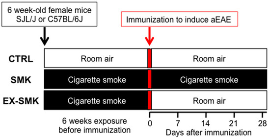 IJMS | Free Full-Text | The Genetic Background of Mice Influences the ...