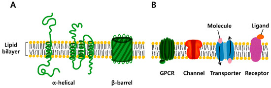 Biomimetic Membranes with Transmembrane Proteins: State-of-the-Art in ...