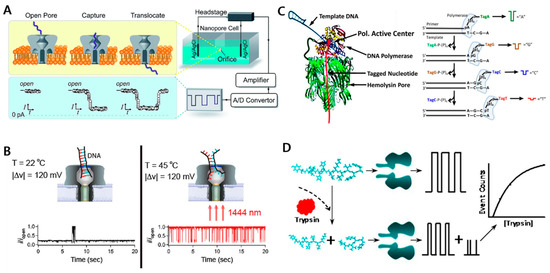 Biomimetic Membranes with Transmembrane Proteins: State-of-the-Art in ...