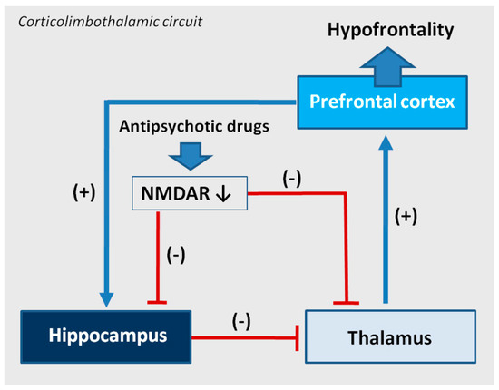 IJMS | Free Full-Text | NMDA Receptor Model of Antipsychotic Drug ...