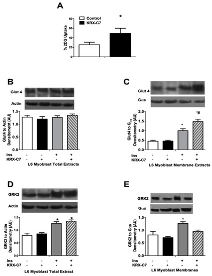IJMS | Free Full-Text | Antidiabetic and Cardioprotective Effects of ...