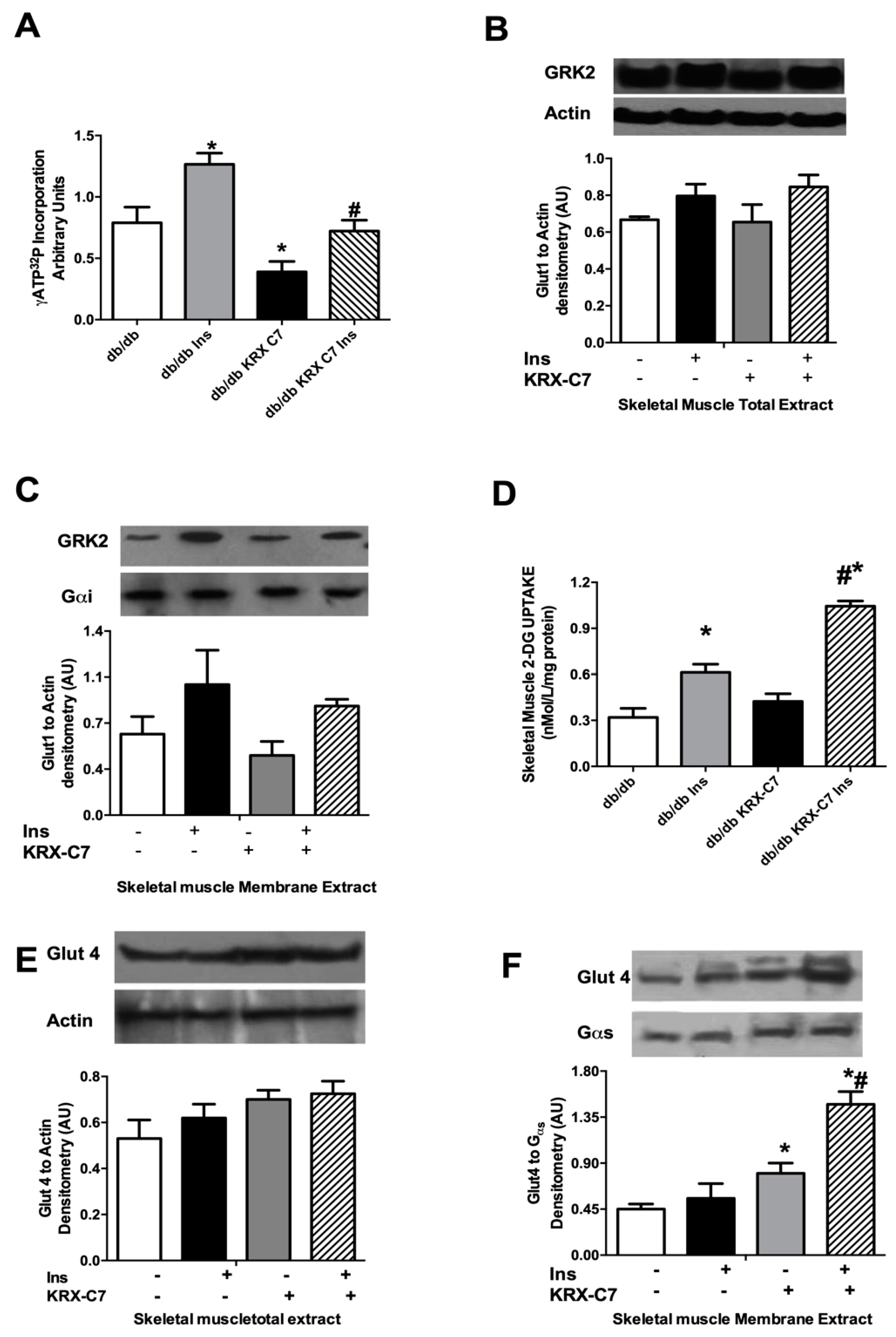 IJMS | Free Full-Text | Antidiabetic and Cardioprotective Effects of ...