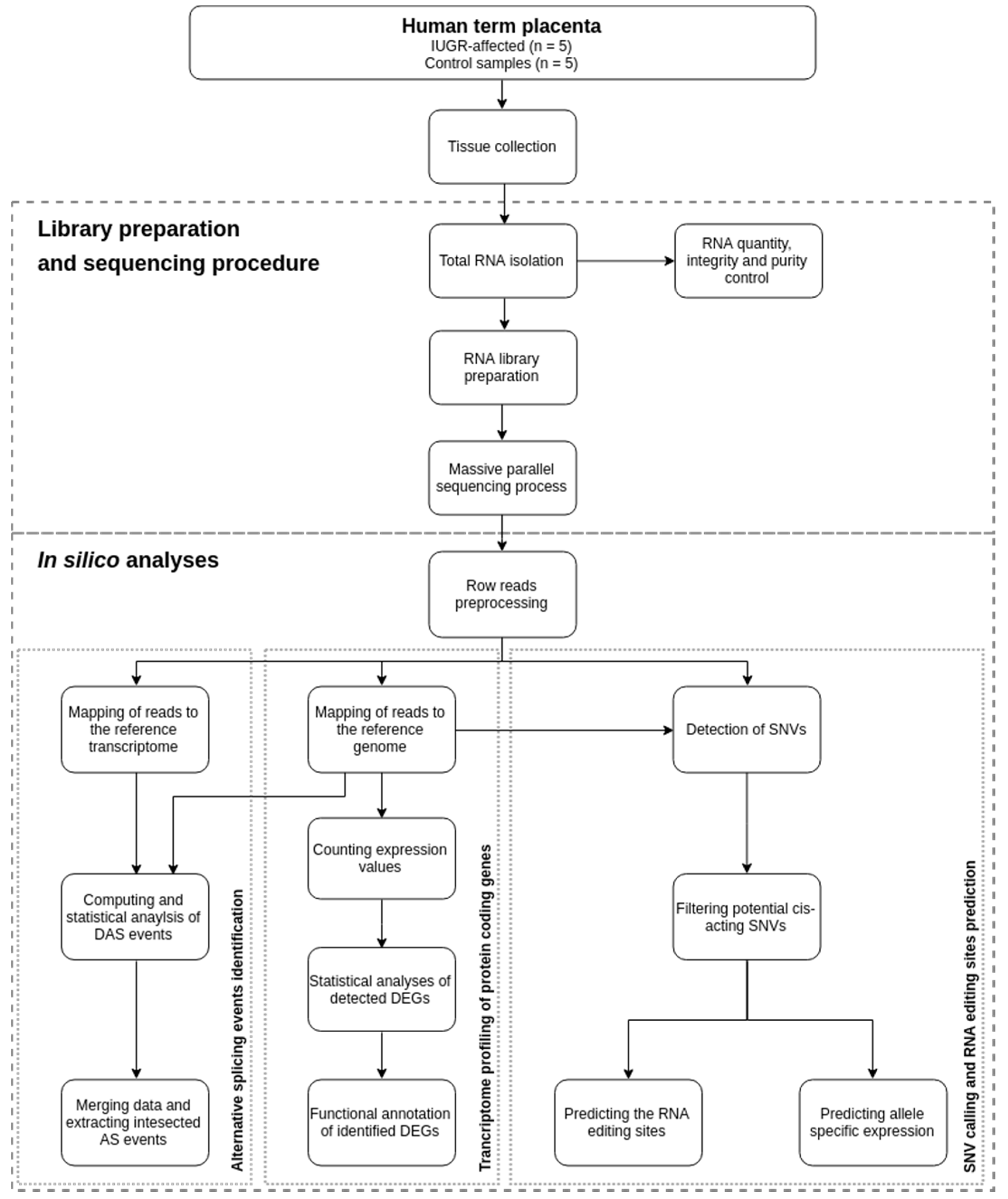 Development Of Placenta Flowchart Best Picture Of Chart Anyimage Org