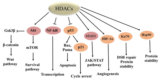 Apoptosis Induction byHistone Deacetylase Inhibitors in Cancer Cells ...