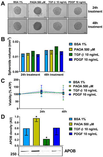 Human Multilineage 3D Spheroids as a Model of Liver Steatosis and Fibrosis