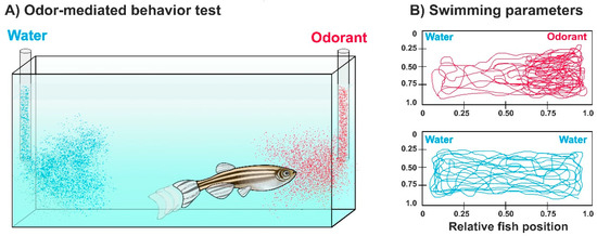 IJMS | Special Issue : Zebrafish 2.0: A Model for Toxicological Research