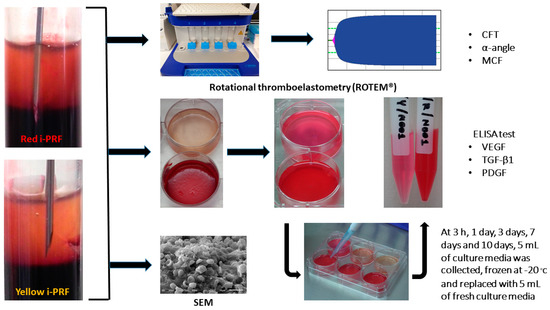 Influence of Fractionation Methods on Physical and Biological ...