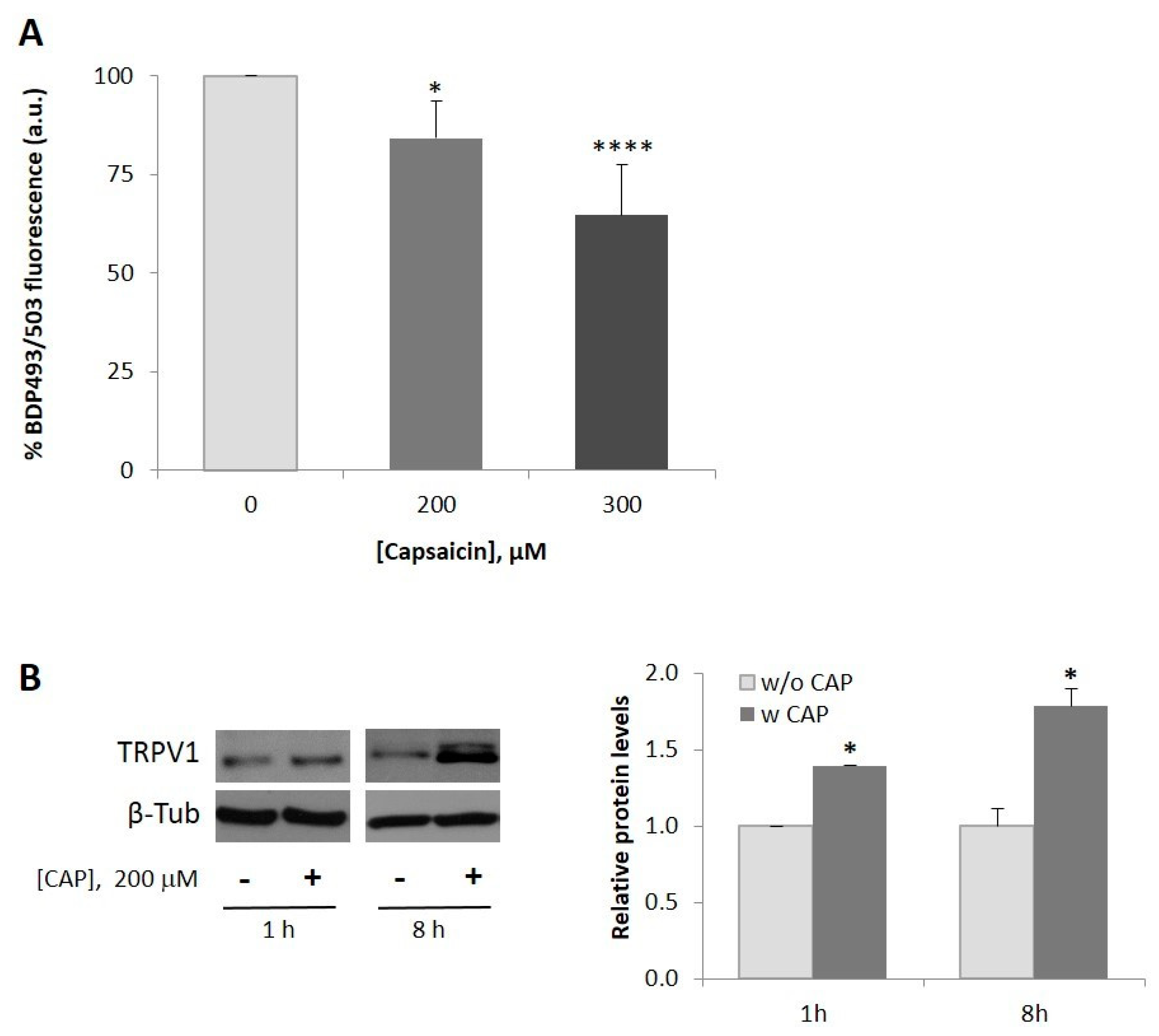 Ijms Free Full Text Capsaicin Targets Lipogenesis In Hepg2 Cells