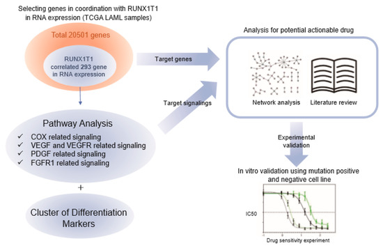 IJMS | Free Full-Text | Elucidation of Novel Therapeutic Targets for Acute Myeloid Leukemias ...