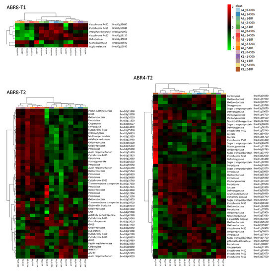 Transcriptional and Metabolomic Analyses Indicate that Cell Transcriptional and Metabolomic Analyses Indicate that Cell