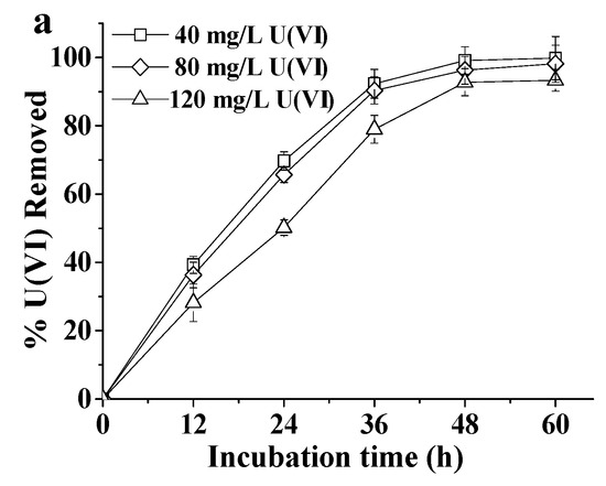 ytiB and ythA Genes Reduce the Uranium Removal Capacity of Bacillus ...