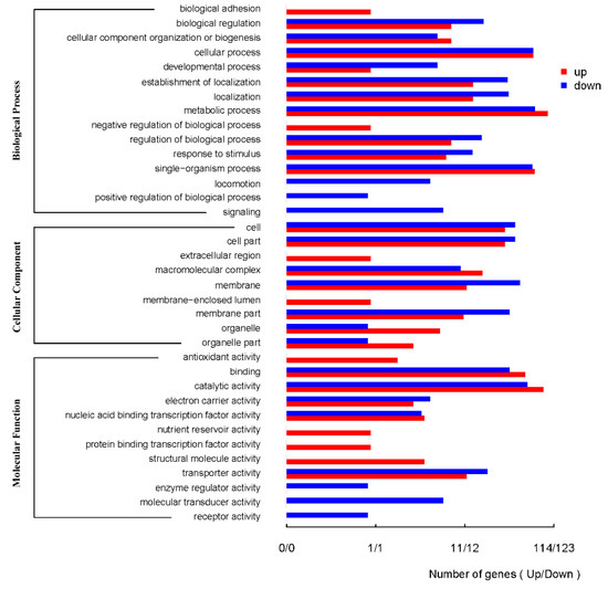 ytiB and ythA Genes Reduce the Uranium Removal Capacity of Bacillus ...