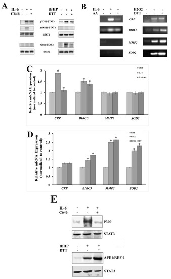 STAT3 Post-Translational Modifications Drive Cellular Signaling ...