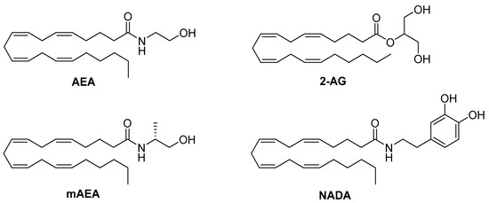 Structural Insights into CB1 Receptor Biased Signaling