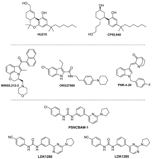Structural Insights into CB1 Receptor Biased Signaling