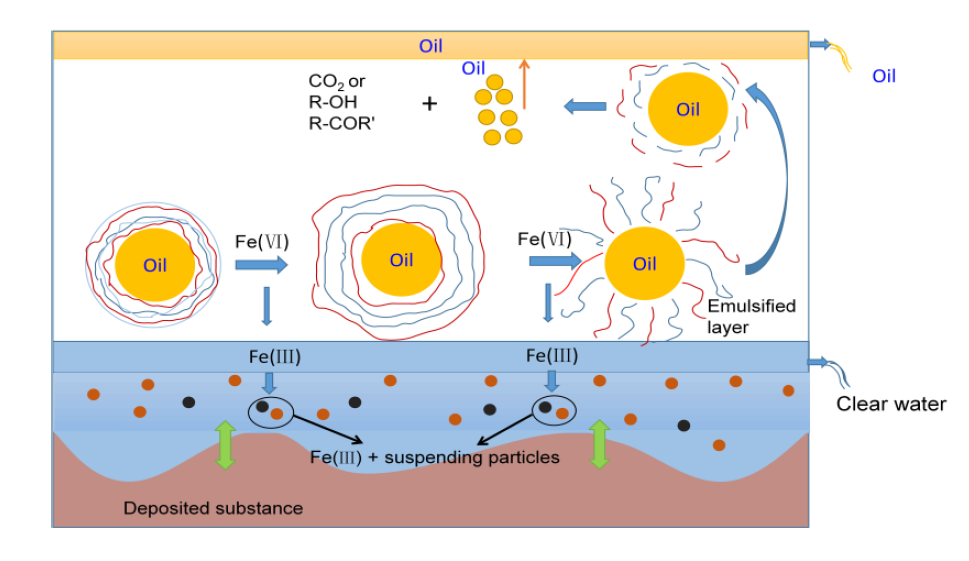IJMS | Free Full-Text | Green Ferrate(VI) for Multiple Treatments of ...