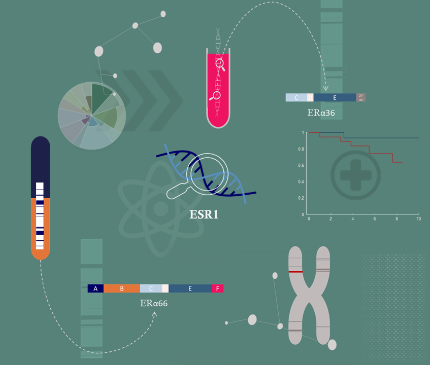 IJMS | Free Full-Text | Clinical and Biological Significance of ESR1 ...