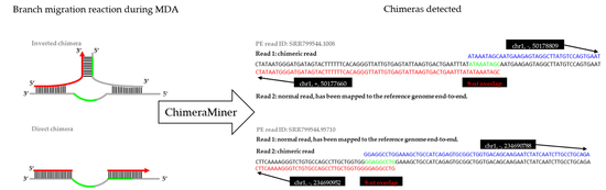IJMS | Free Full-Text | ChimeraMiner: An Improved Chimeric Read ...