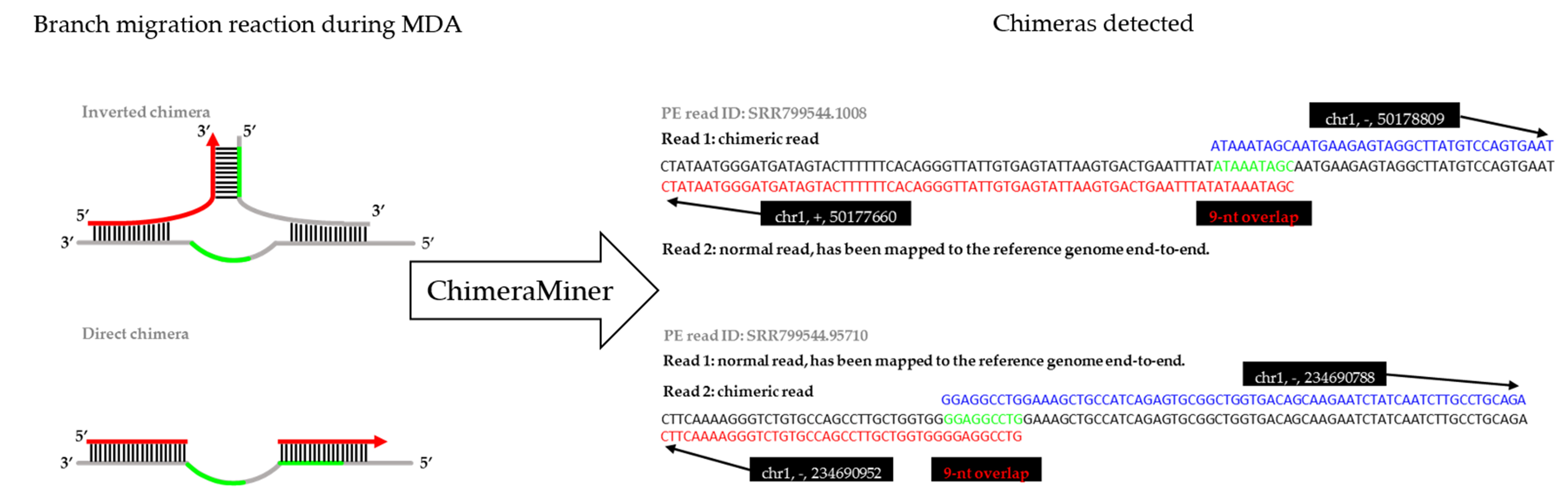 IJMS | Free Full-Text | ChimeraMiner: An Improved Chimeric Read ...