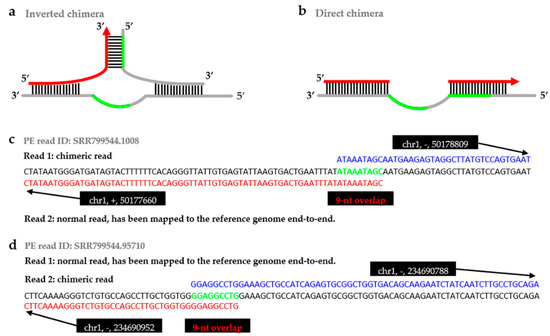 ChimeraMiner: An Improved Chimeric Read Detection Pipeline and Its ...