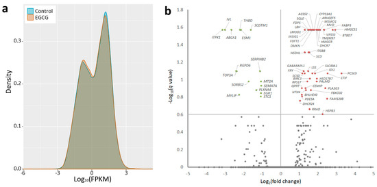 IJMS | Free Full-Text | The Effects of Epigallocatechin Gallate (EGCG ...