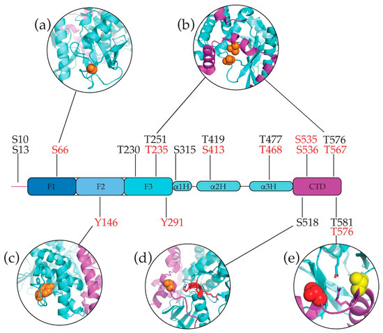 Two Sides of the Coin: Ezrin/Radixin/Moesin and Merlin Control Membrane ...
